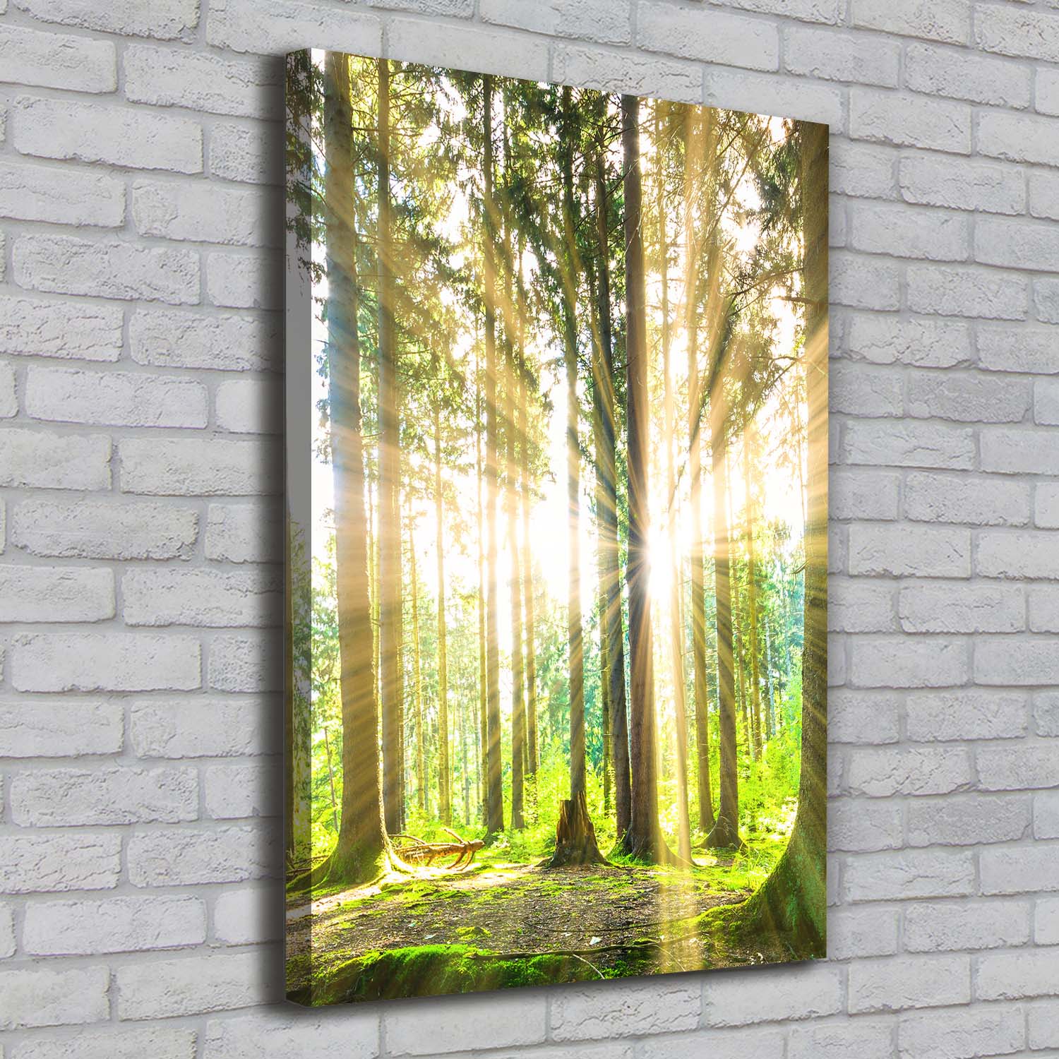 Wunderbar Leinwand 70x100 Tedi Bilder